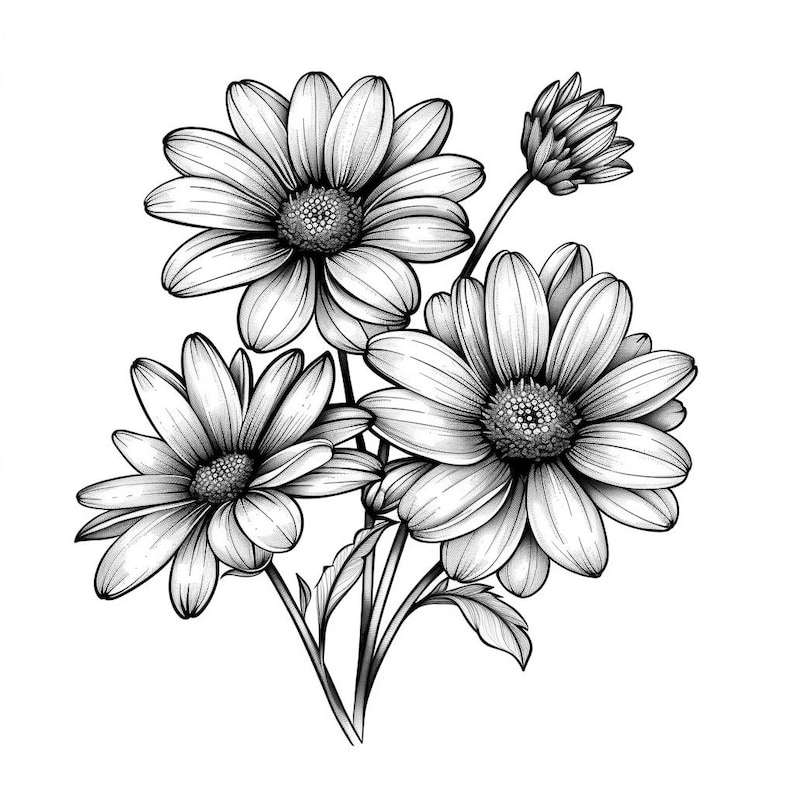 Daisy Blooms Black/white Line Art Bundle 1 36 Digital Ai Line Art PNG ...