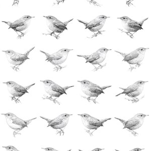 House Wren Line Art Bundle: 26 Black and White Illustrations (SVG, PNG ...