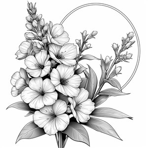 Fireweed Line Art Black and White Bundle 1 24 Digital Line Art Images ...