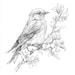 Bluebird Line Art Black and White Bundle 1 28 Digital Ai Line Art PNG ...