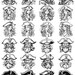 Pirate Head Line Art Black and White Bundle 1 42 Digital Ai Line Art ...