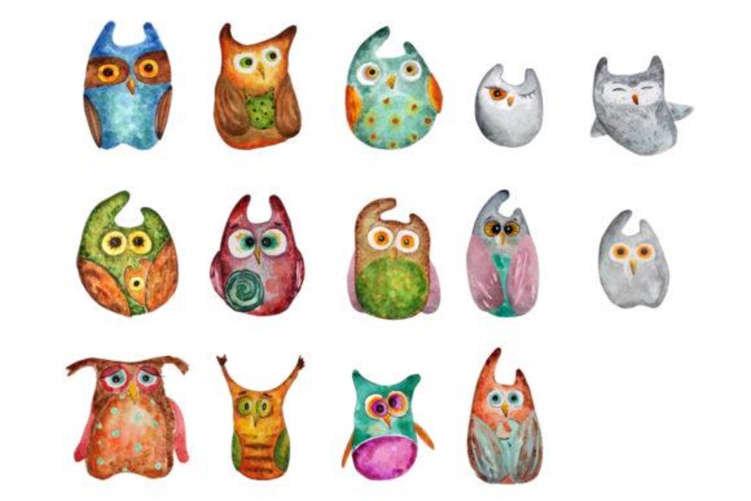 Watercolor Owl Clipart Bundle: Colorful Bird PNG (digital Download) - Etsy