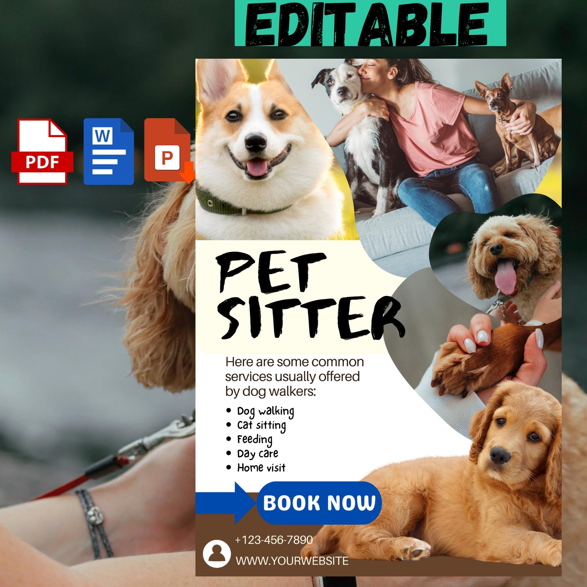 Editable Pet Sitter Flyer Template | Pet Sitting Services | Dog Walking ...