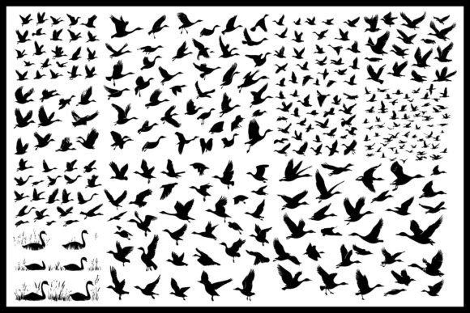 Flock of Birds Svg- Flying Birds Svg Bundle- Birds Silhouette, Birds ...