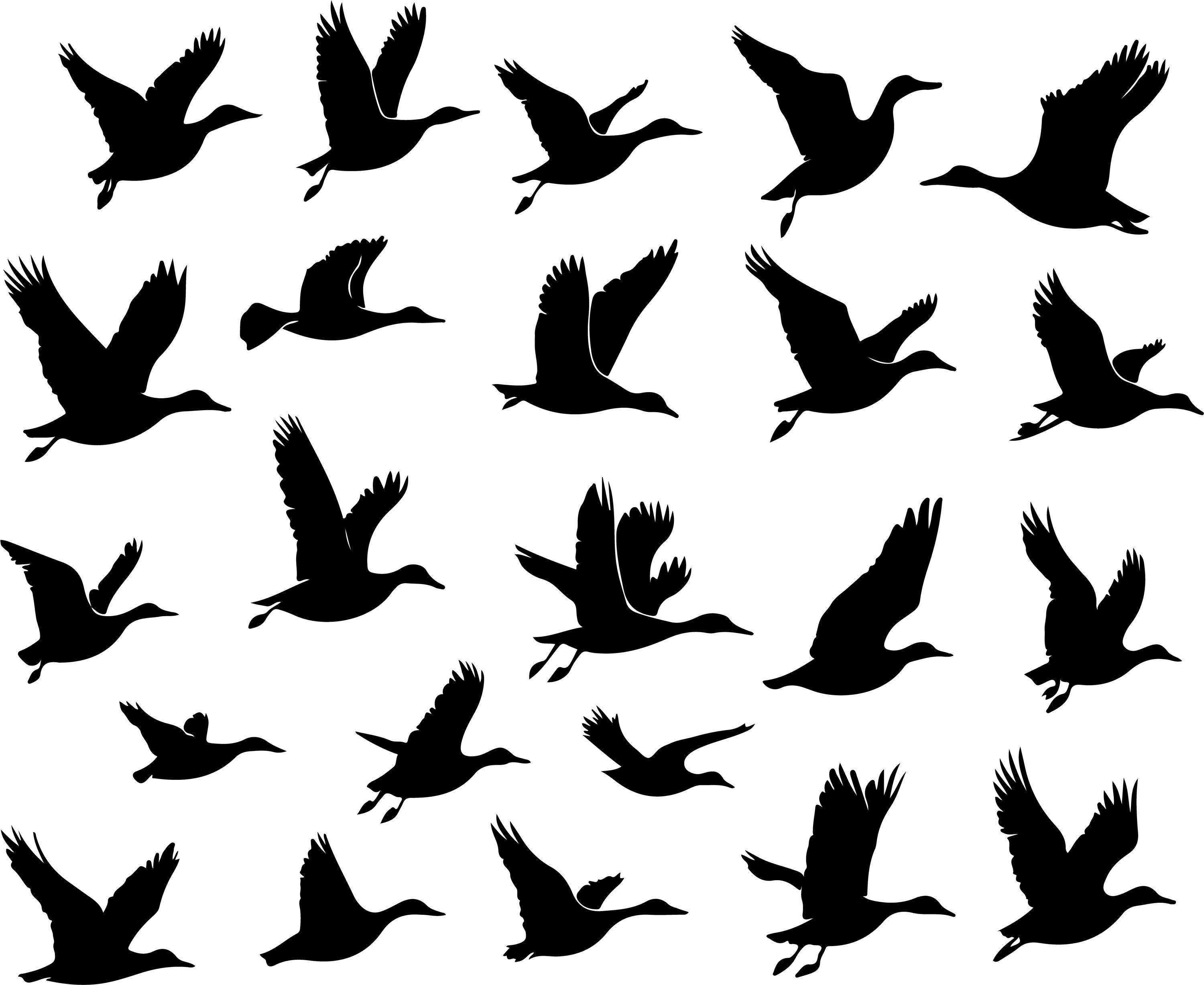 Flock of Birds Svg- Flying Birds Svg Bundle- Birds Silhouette, Birds ...