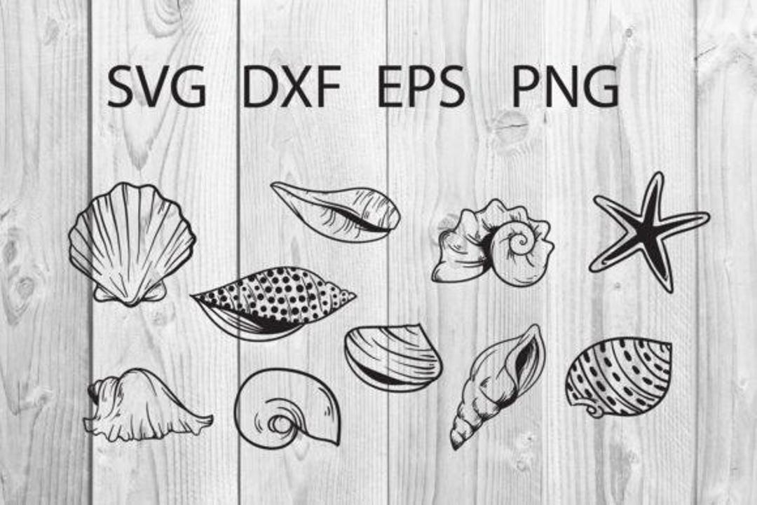 Seashell SVG Bundle, Seashell PNG Bundle, Seashell Clipart, Seashell ...
