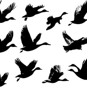 Flock of Birds Svg- Flying Birds Svg Bundle- Birds Silhouette, Birds ...