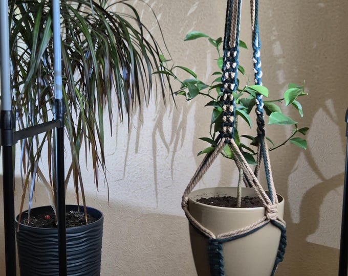 Macrame Plant Hanger, Garden Lover's Gift, Balcony Decoration, Modern ...