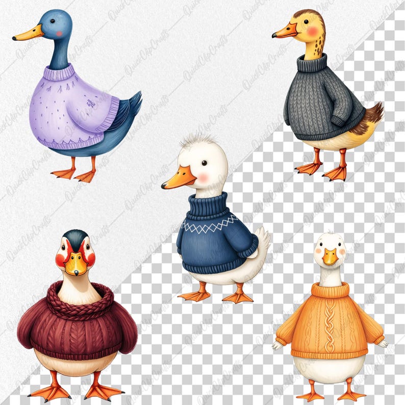 Duck Wearing Sweater Clipart, Watercolor Mallard Duck Clipart, 25 PNG ...