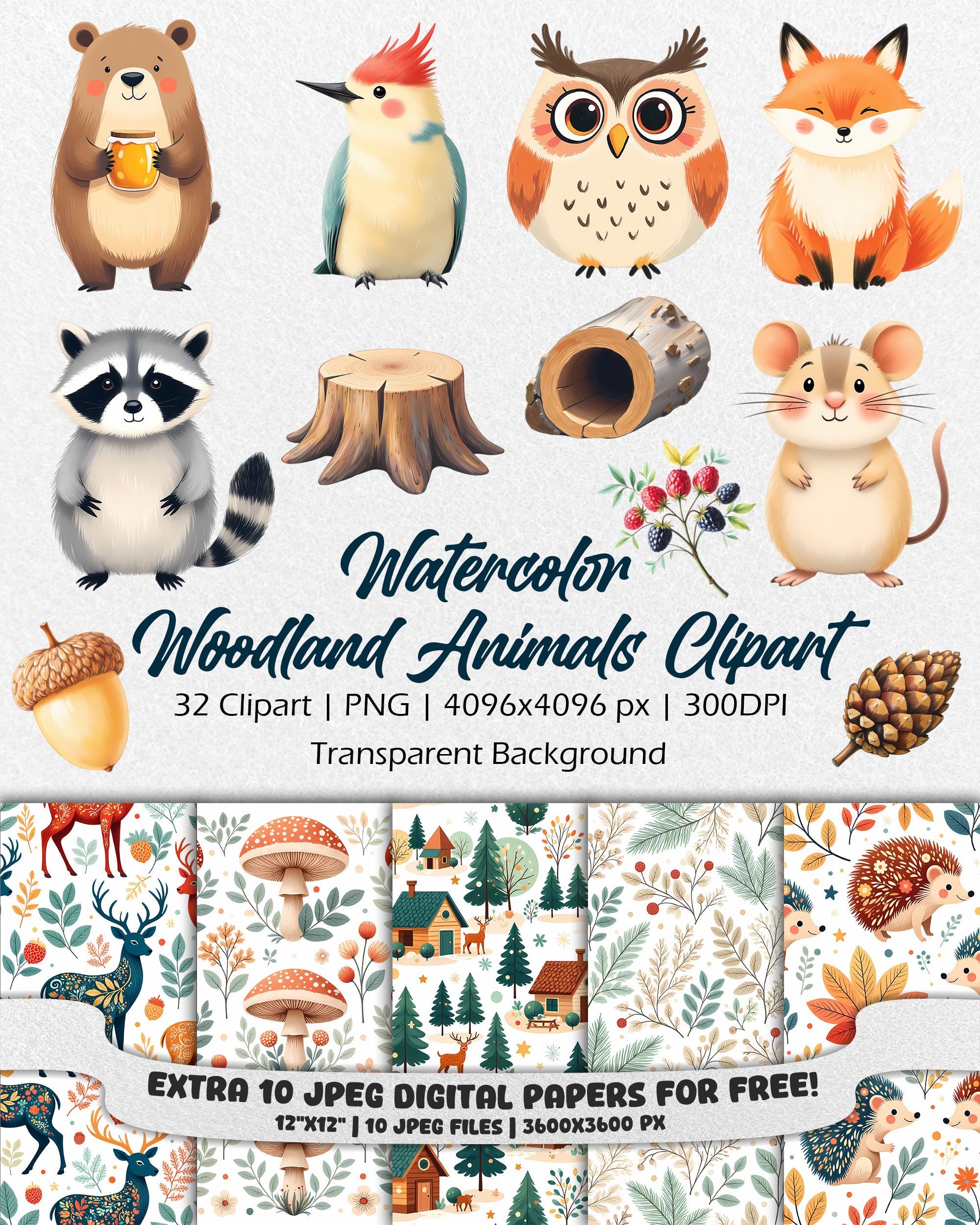 Watercolor Woodland Clipart & Digital Paper Set, Cute Woodland Animal ...