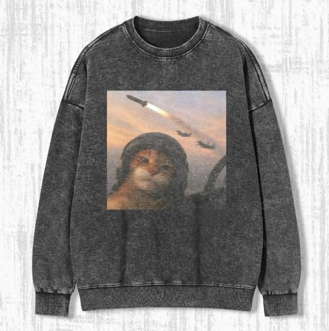 Vintage Wash Pilot Cat Meme Sweatshirt, Gen Z Brainrot Sweater, Funny ...