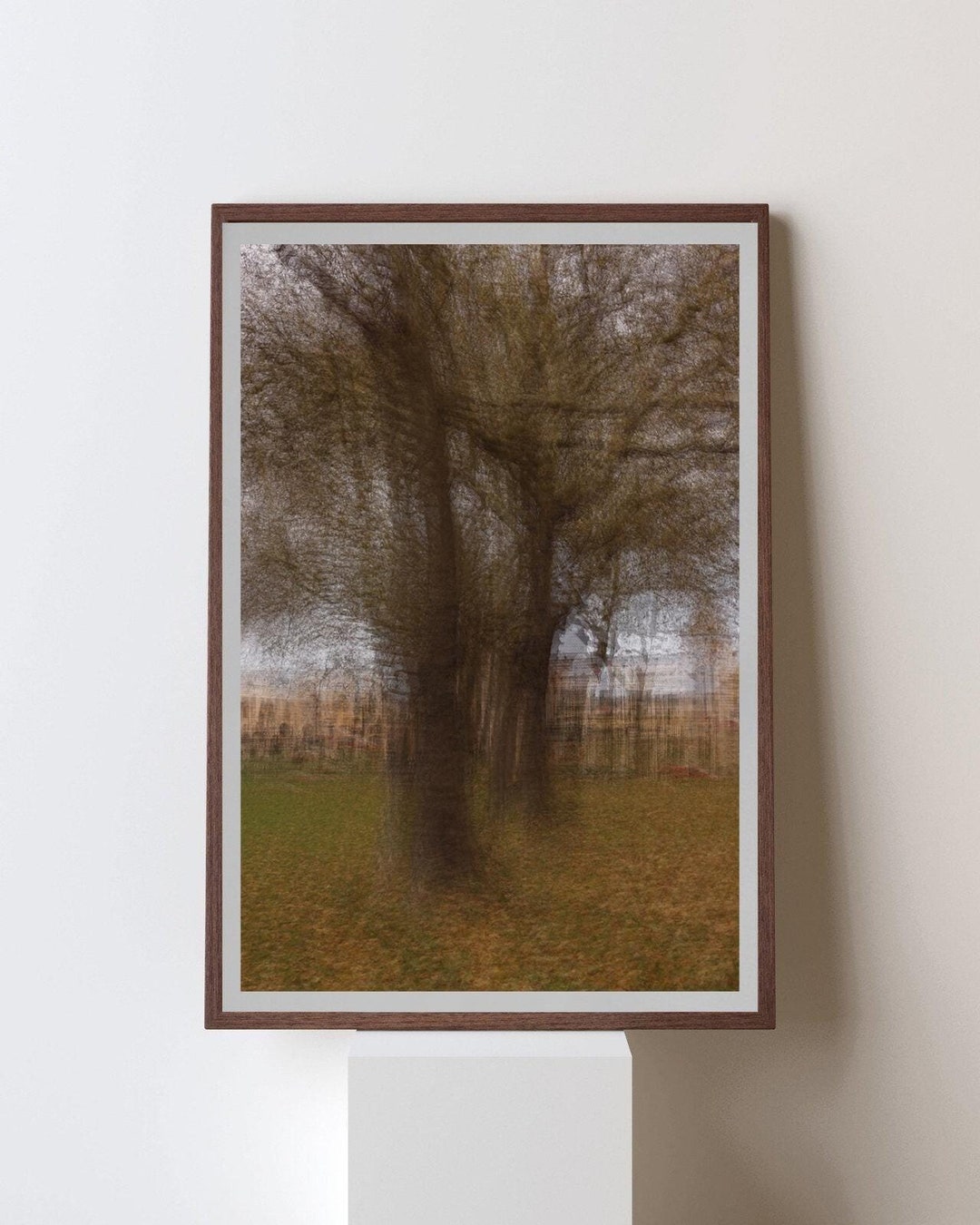 Landscape Photography the Palace of Versailles Trees by the Lake Art ...