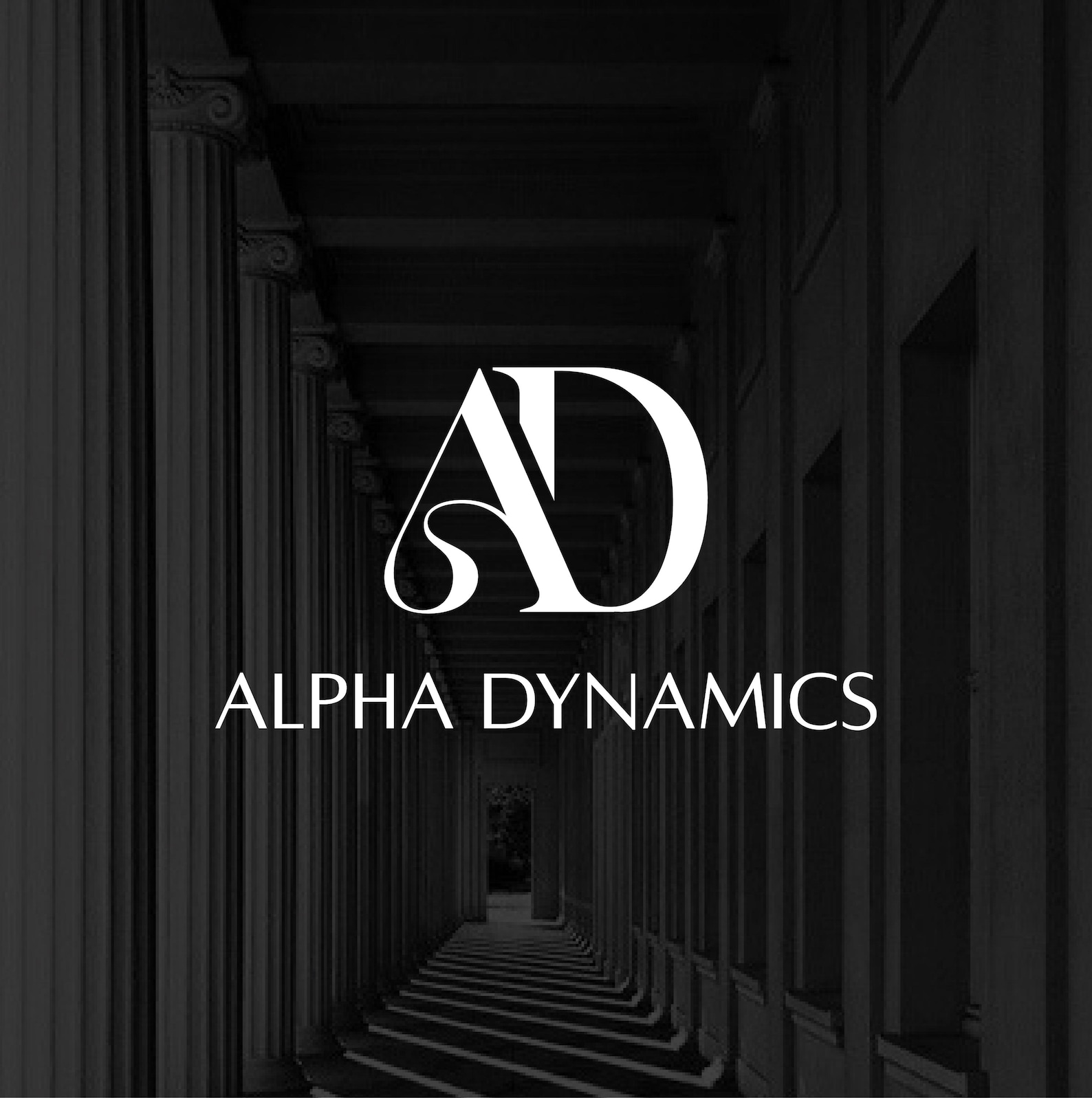 Custom Initial Logo, Premium Logo, Wedding Logo, Personalized Logo ...