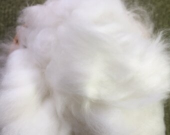 Angora fiber | Etsy