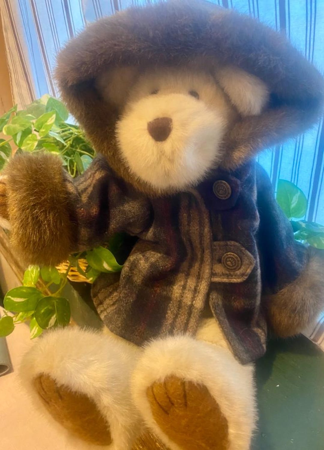 Vintage Boyds Corey Allen Bearsmoore Bear - Etsy