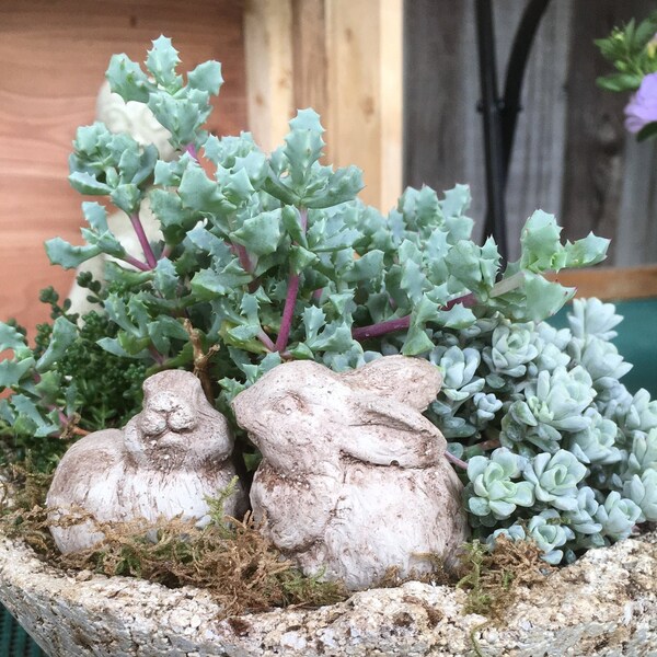 GardenArtistryPA - Etsy