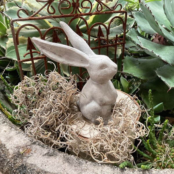 French Rabbit - Etsy