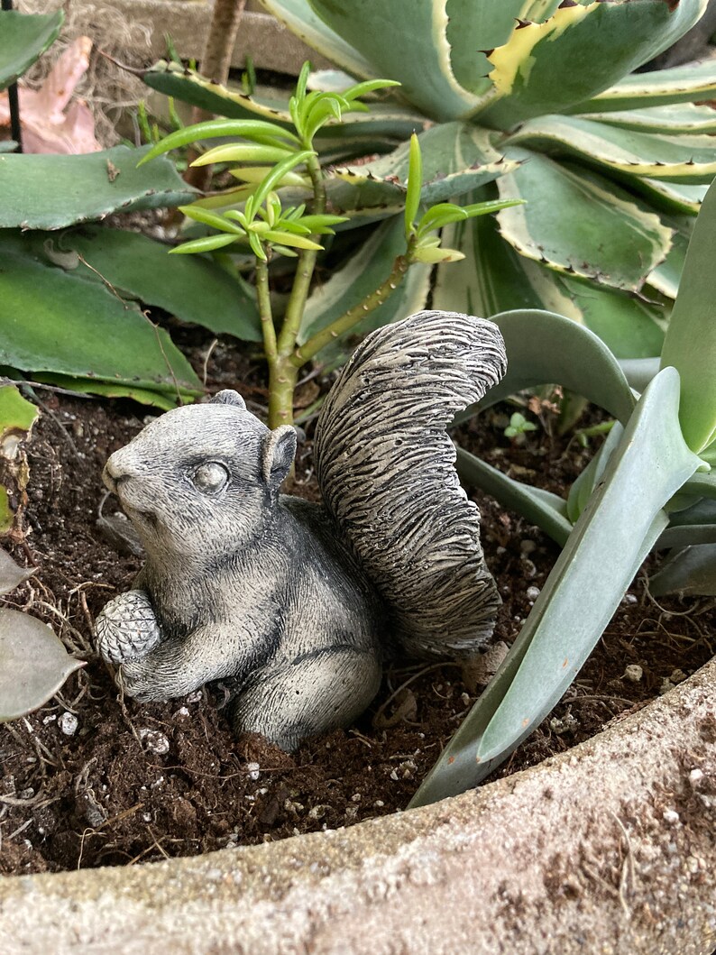 Concrete Cement Squirrel Acorn Garden Statue | Woodland Planter Pot ...