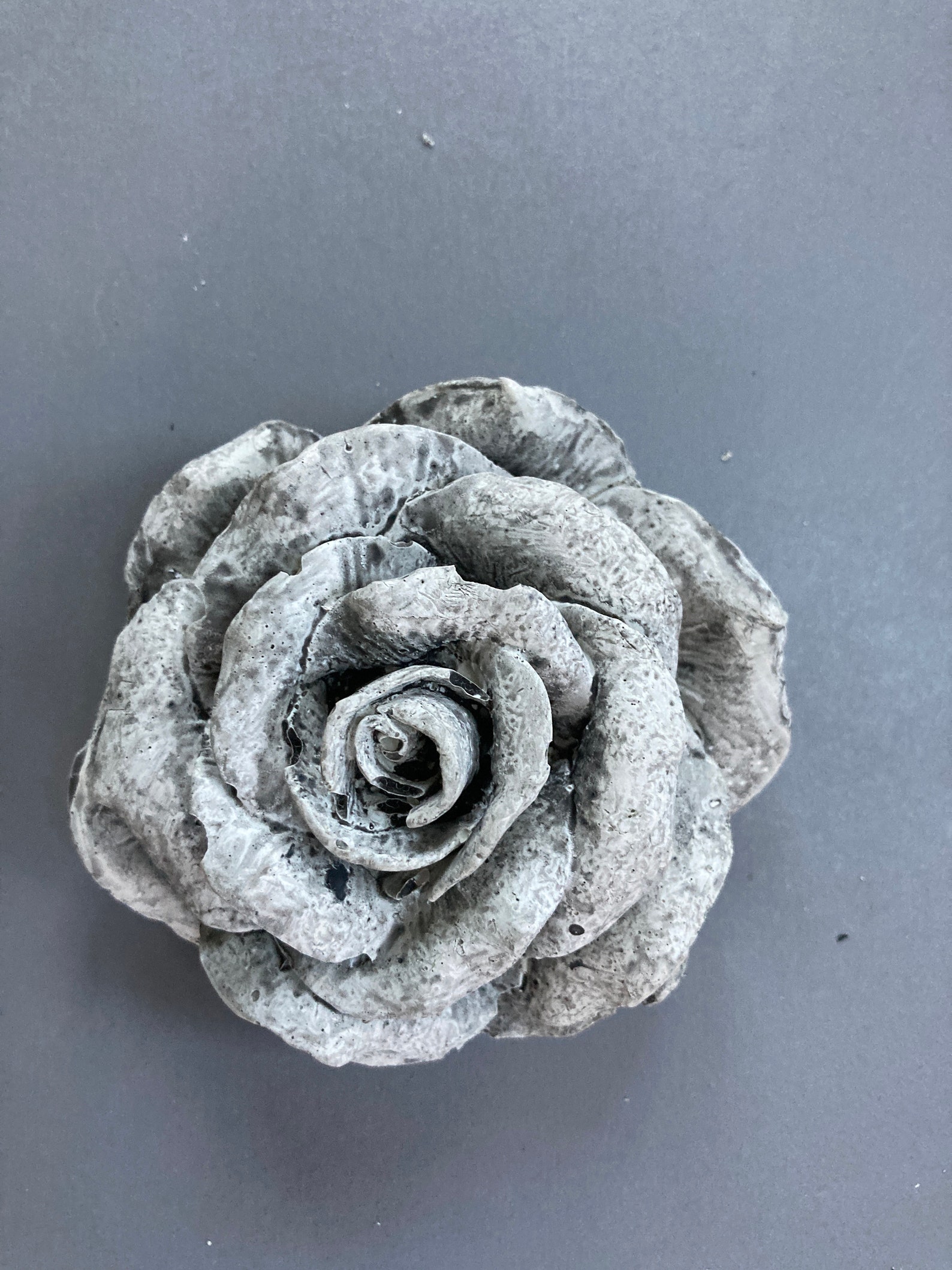 One Concrete Cement Flower Wall Hanging First Planting - Etsy