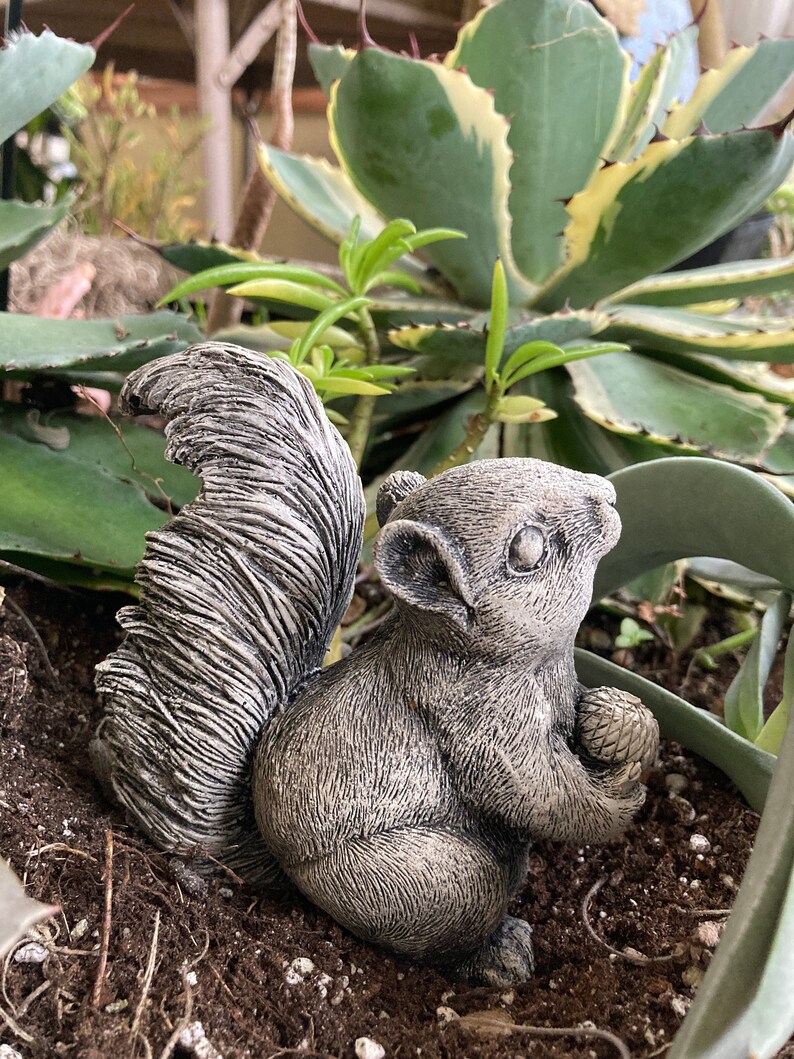 Concrete Cement Squirrel Acorn Garden Statue | Woodland Planter Pot ...