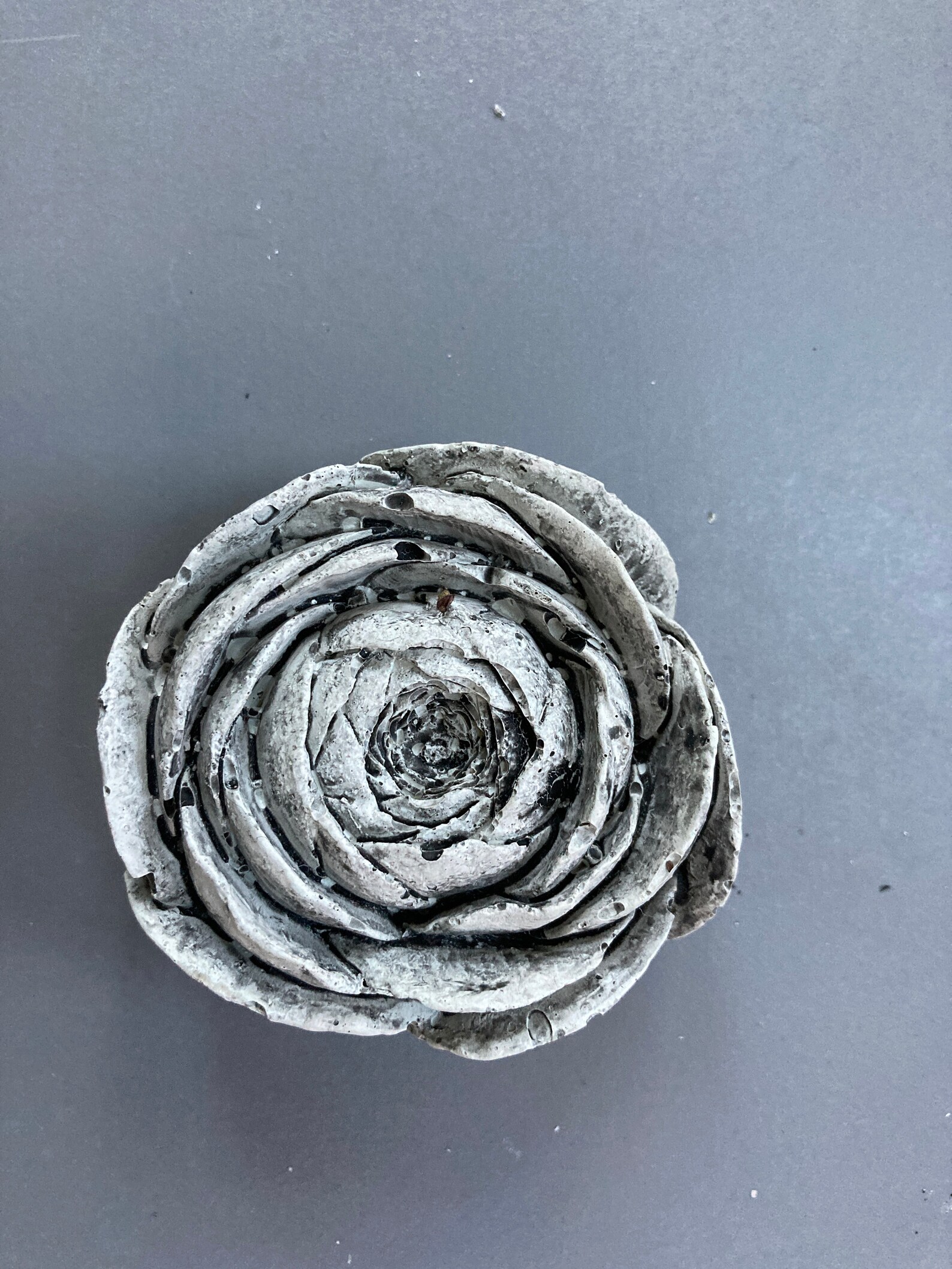 One Concrete Cement Flower Wall Hanging First Planting - Etsy