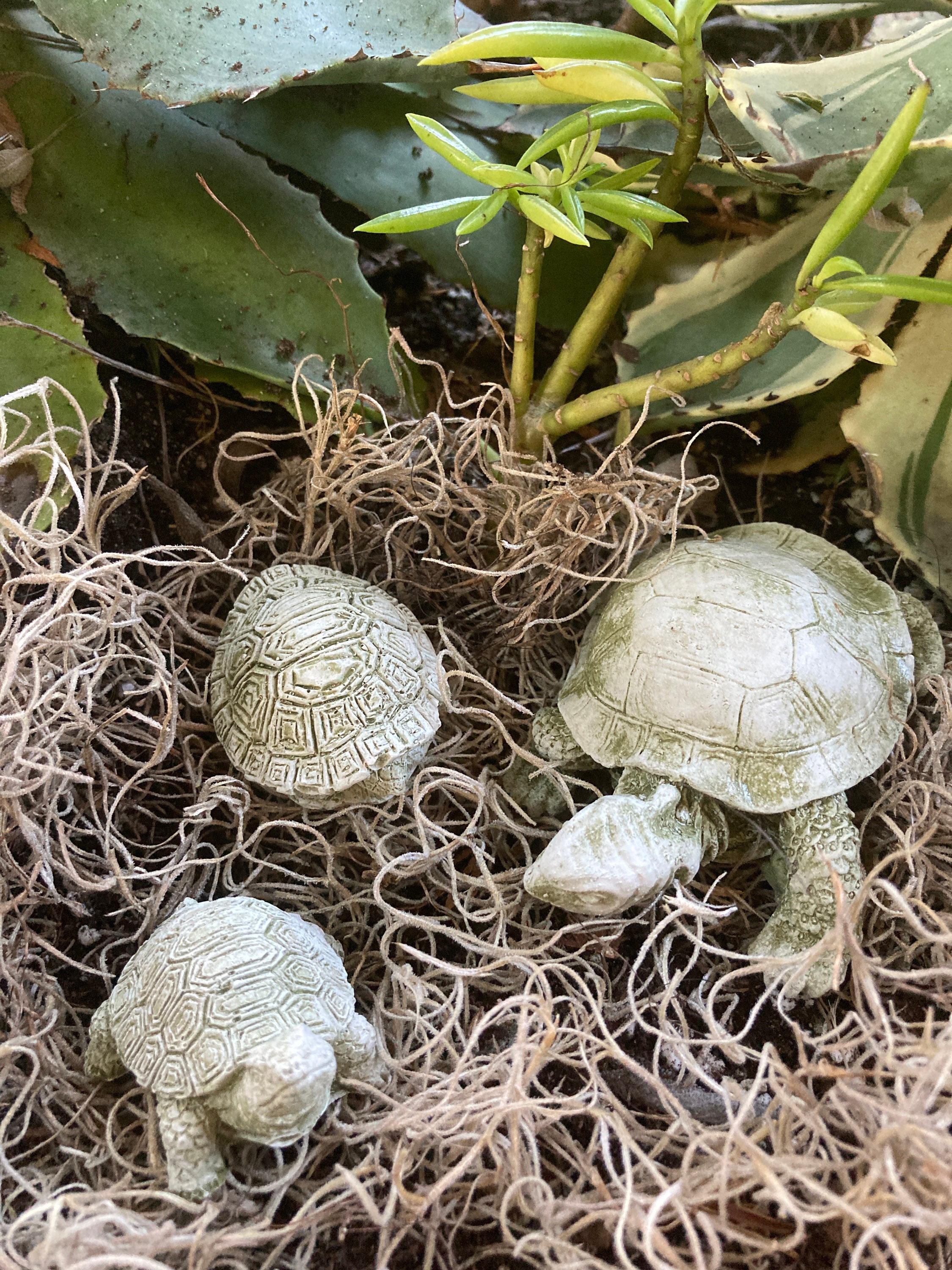 Handmade Concrete Turtle Family Set of 3 Fairy Garden Planter | Etsy