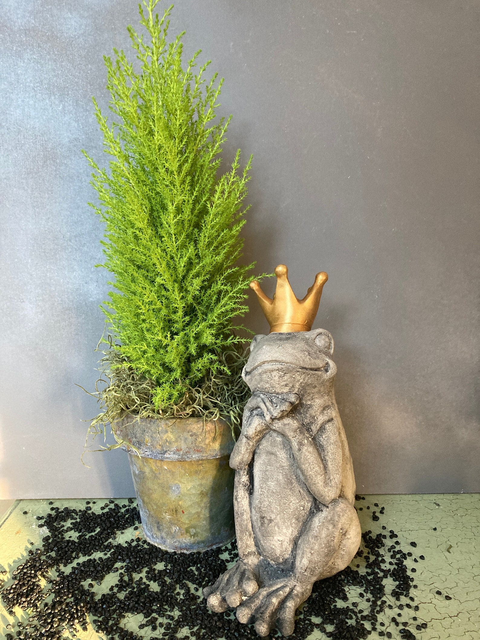 Concrete Frog Prince King Garden Statue Crown Toad - Etsy