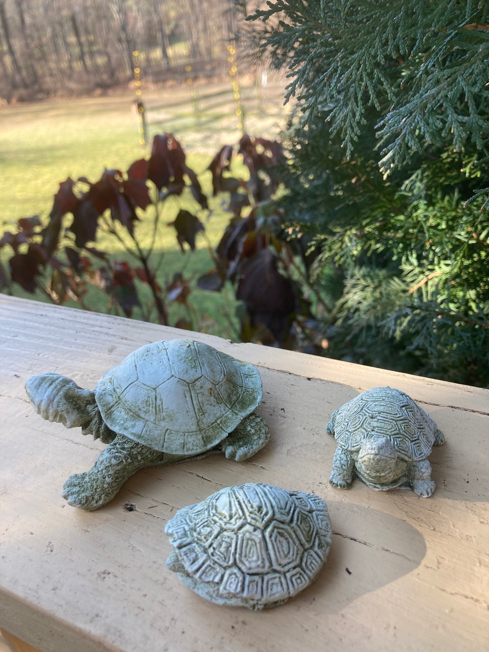 Handmade Concrete Turtle Family Set of 3 Fairy Garden Planter | Etsy