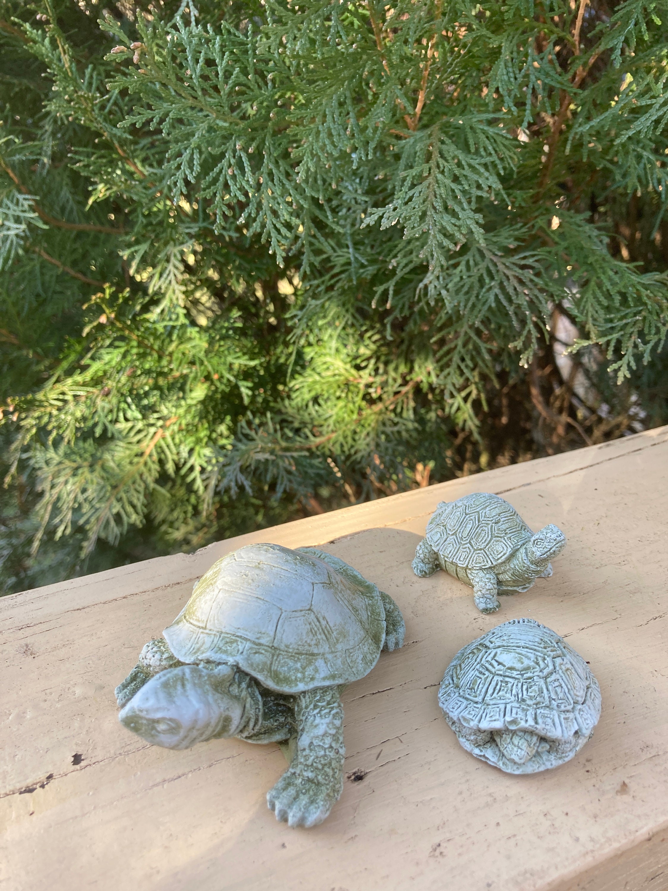 Handmade Concrete Turtle Family Set of 3 Fairy Garden Planter | Etsy
