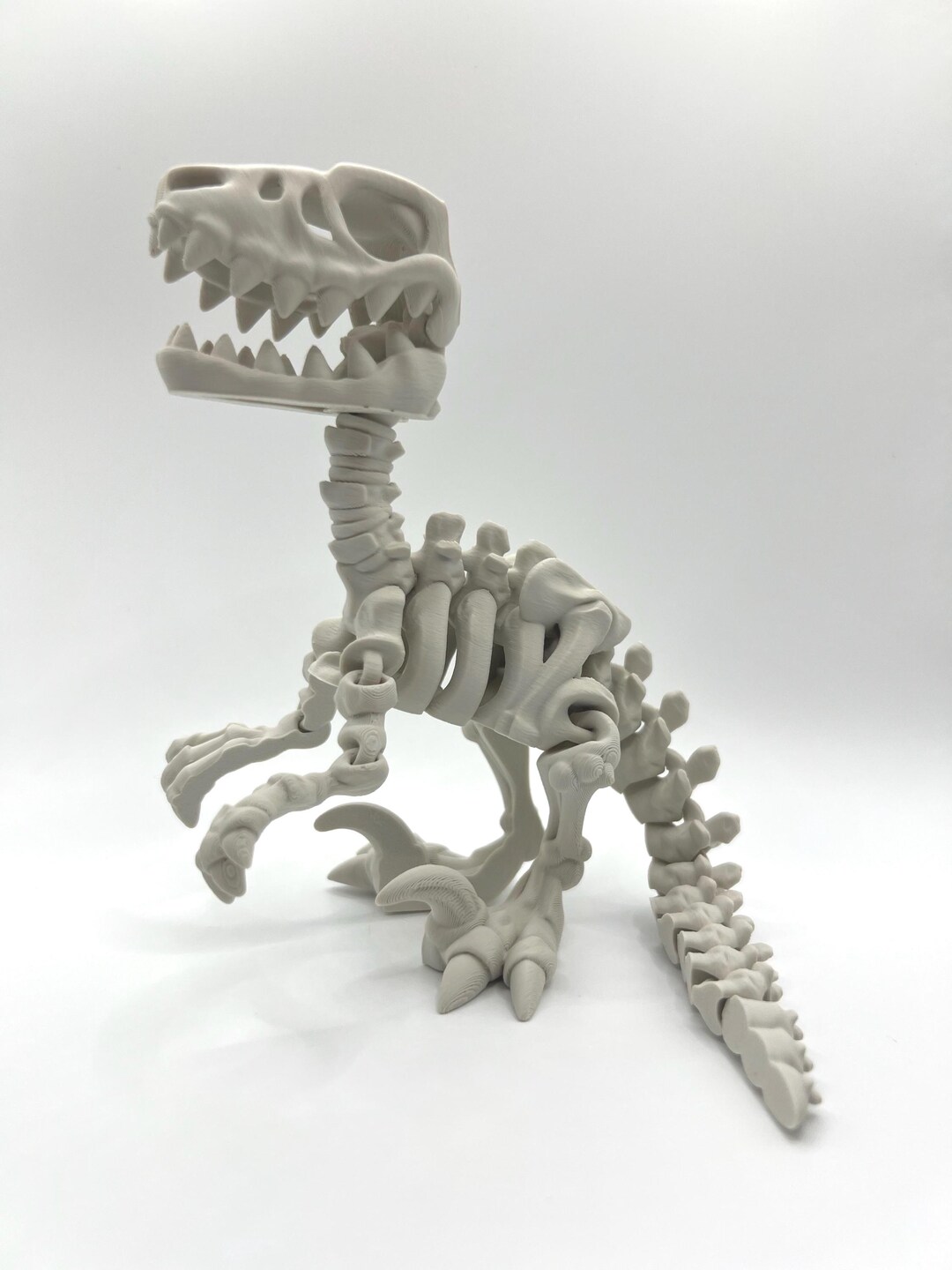 Articulated Raptor Skeleton | Dinosaur Skeleton | Flexible Fidget | 3D ...