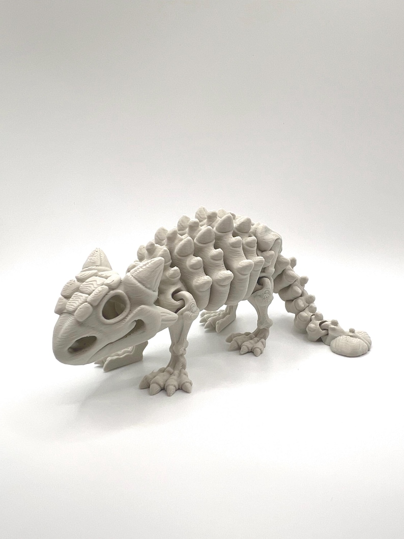 Articulated Ankylosaurus Skeleton | Dinosaur Skeleton | Flexible Fidget ...