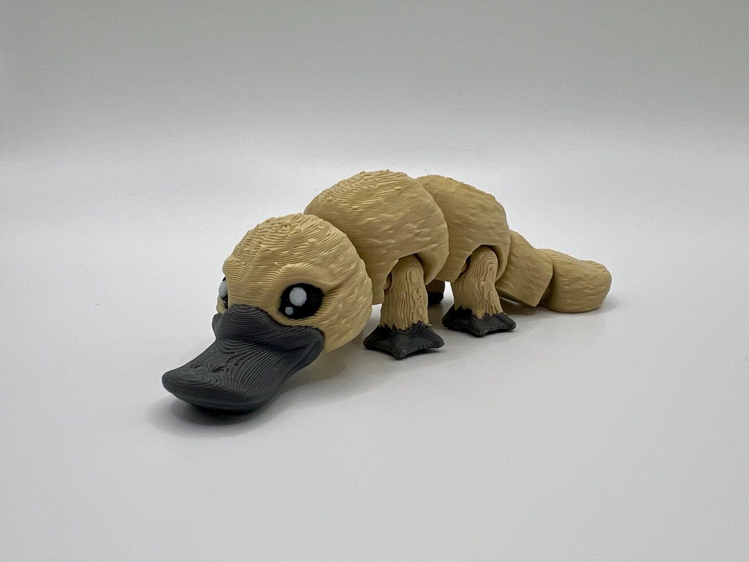 3D Printed Platypus Fidget Figure: Articulated Animal Decor - Etsy