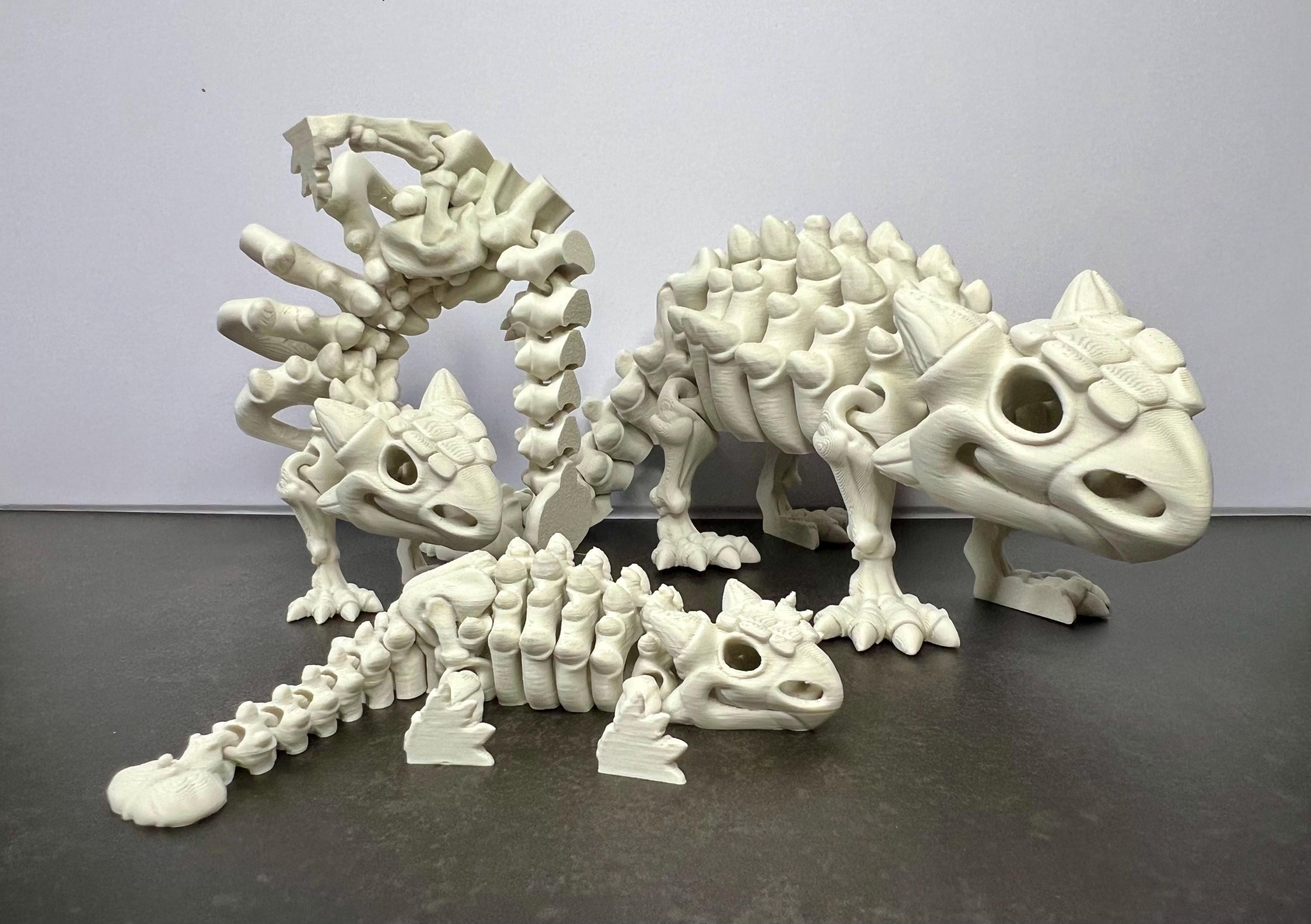 Articulated Ankylosaurus Skeleton | Dinosaur Skeleton | Flexible Fidget ...