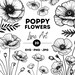 Poppy Flower SVG Bundle, Poppy Line Art, Wildflower Clipart, Poppy SVG ...