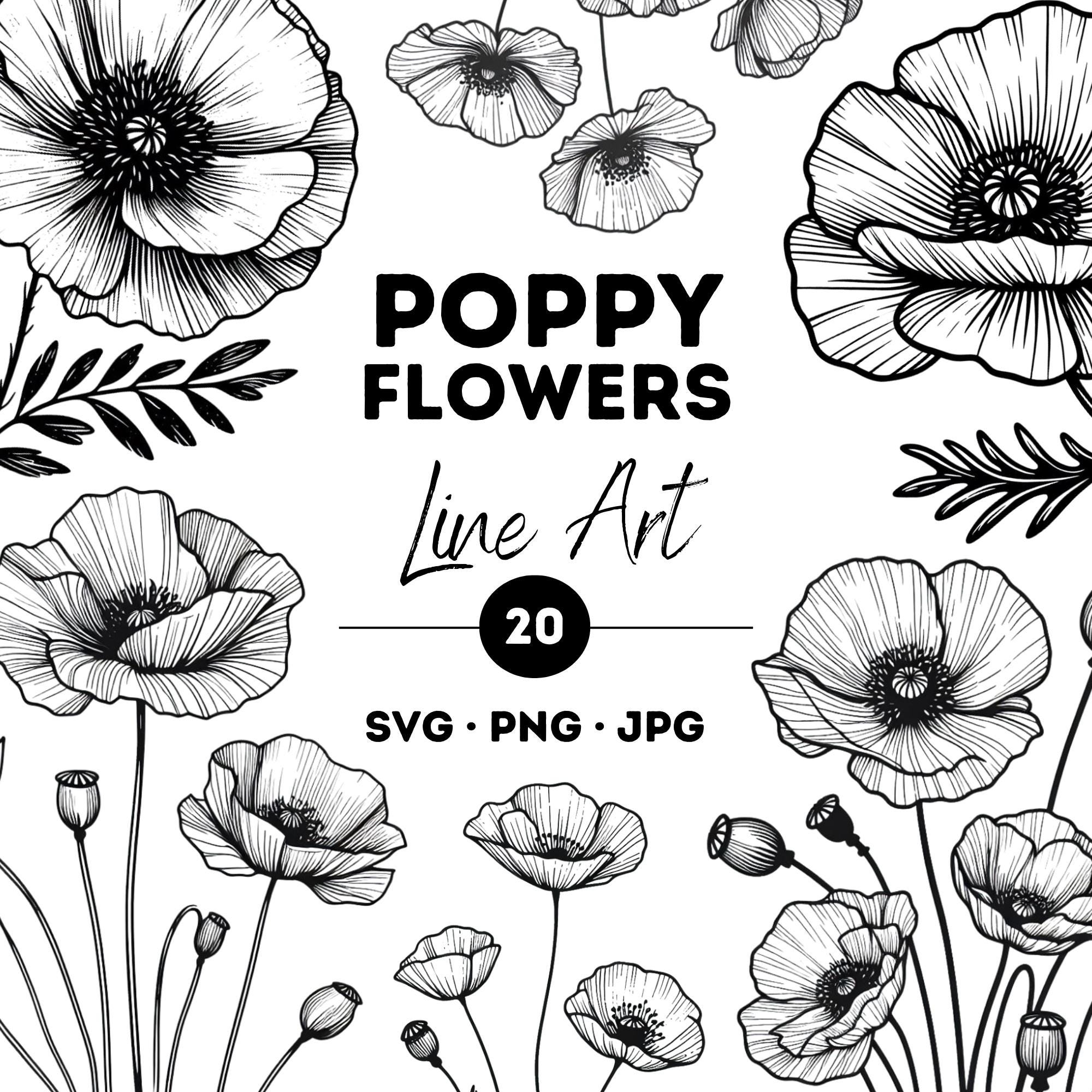 Poppy Flower SVG Bundle, Poppy Line Art, Wildflower Clipart, Poppy SVG ...