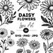 Daisy Line Art SVG Bundle: Floral Silhouette Clipart (PNG, JPG) - Etsy