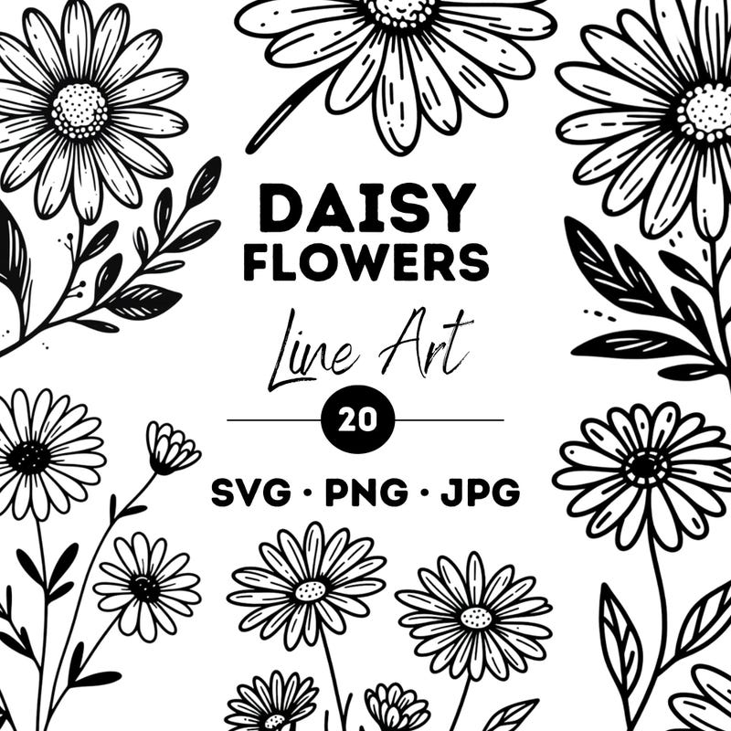 Daisy Line Art Illustration - Etsy Australia