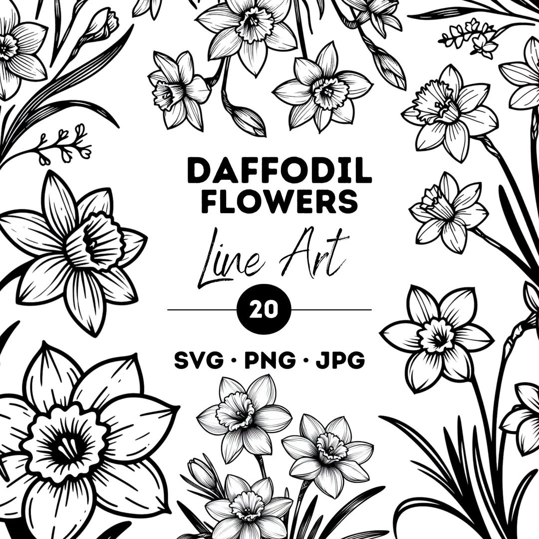Daffodil Flower Line Art Bundle, Daffodil Floral Line Art SVG, Floral ...