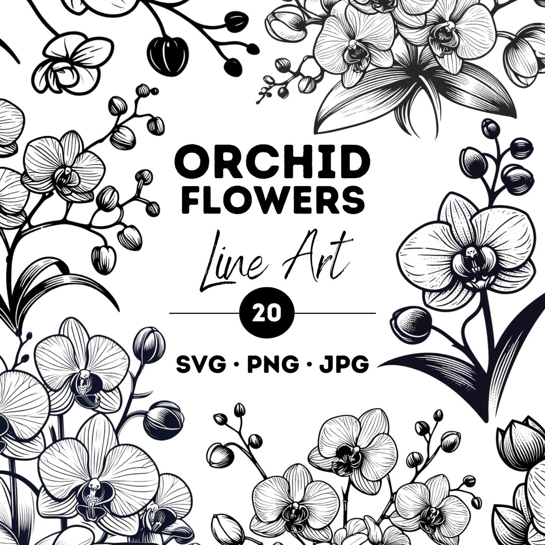 Orchid Flower SVG Bundle, Line Art Orchid Clipart, Floral Orchid SVG ...