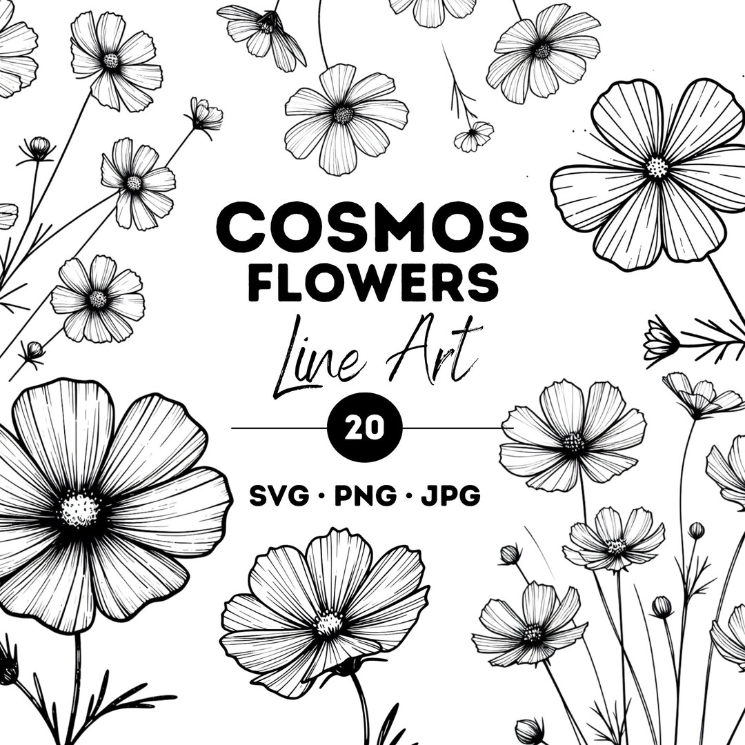 Cosmos Flower SVG Bundle, Wildflower Line Art Clipart, Floral Cosmos ...