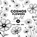 Cosmos Flower Line Art Clipart: Wildflower SVG Bundle (digital Download ...
