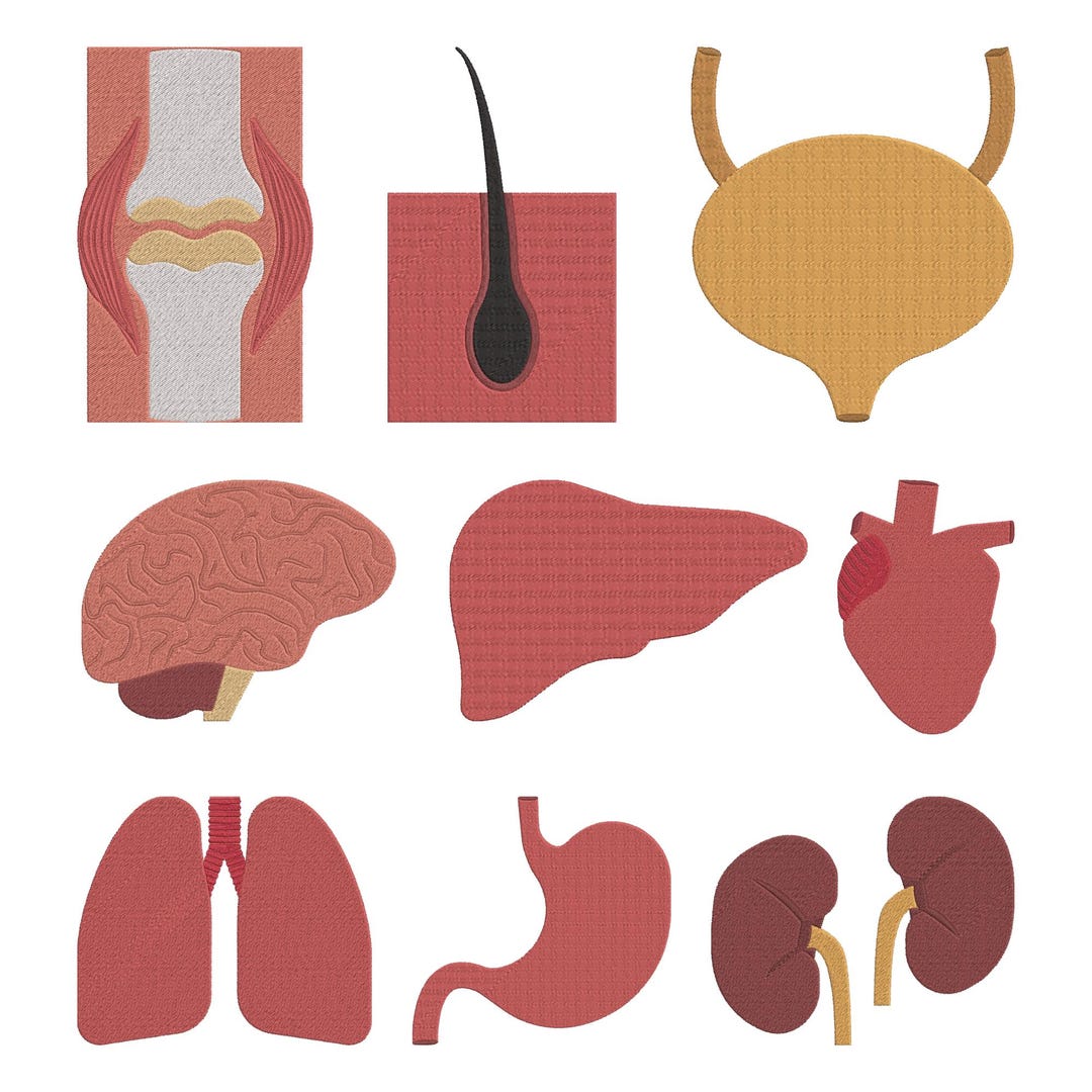 Human Anatomy Medical Organ Embroidery Design, Medical Body Organ Human ...