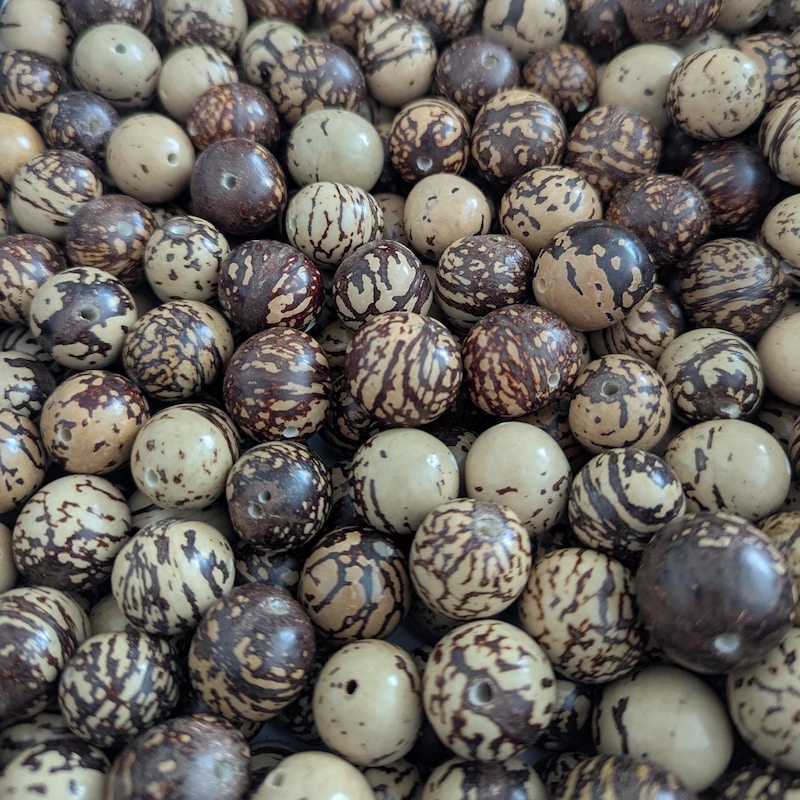 Tagua Nut Jewelry - Etsy