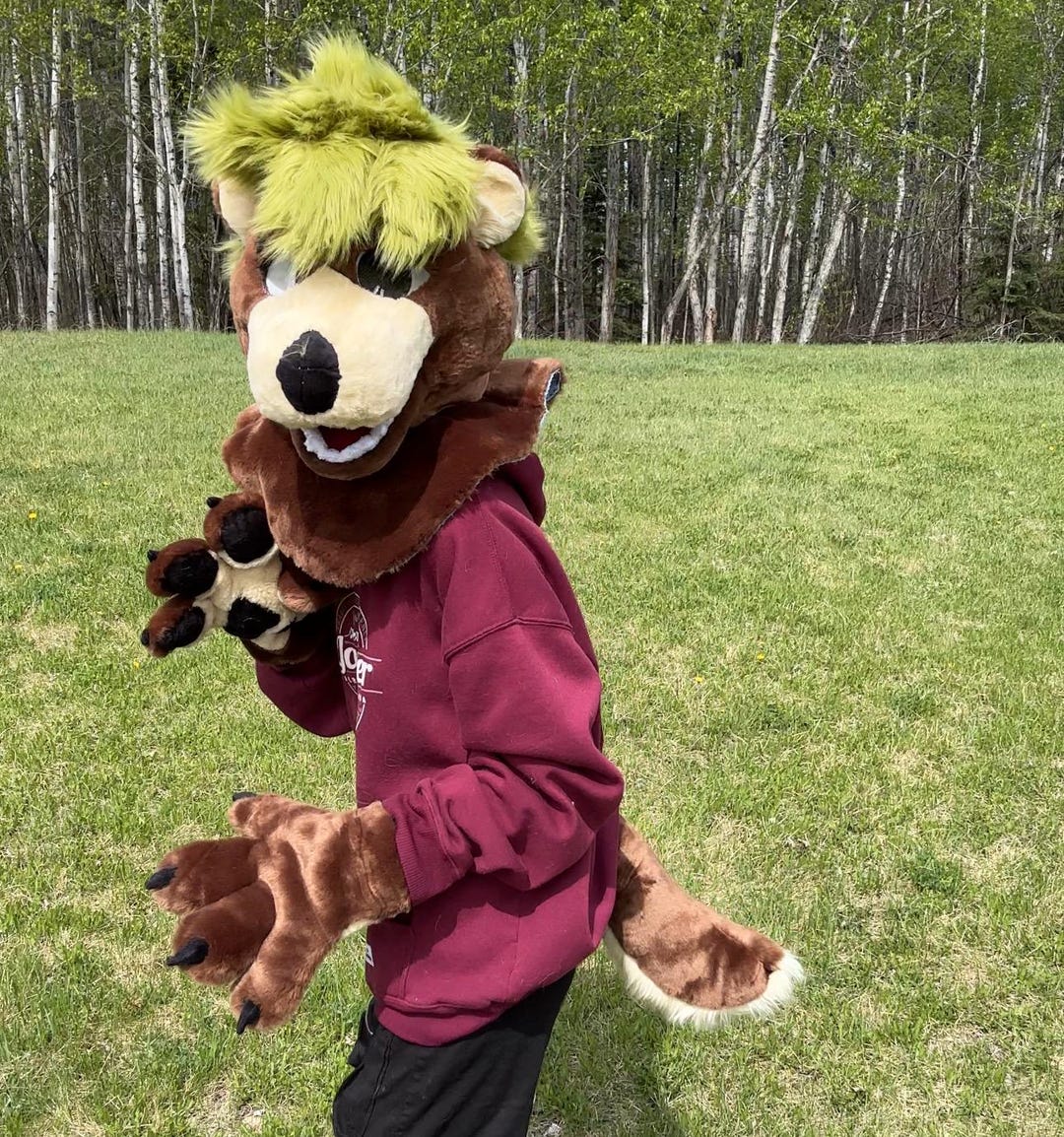 HQ Premade Otter Fursuit Mini Partial- Head, Handpaws, and Tail - Etsy