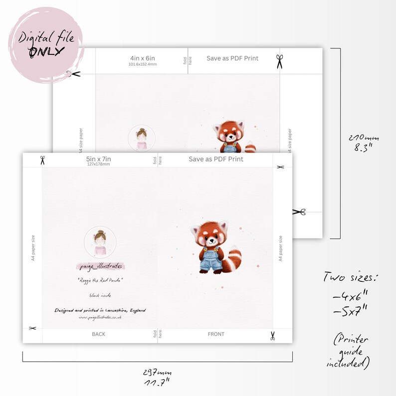 Reggie the Red Panda Digital Card, Illustrations by Paige_illustrates ...