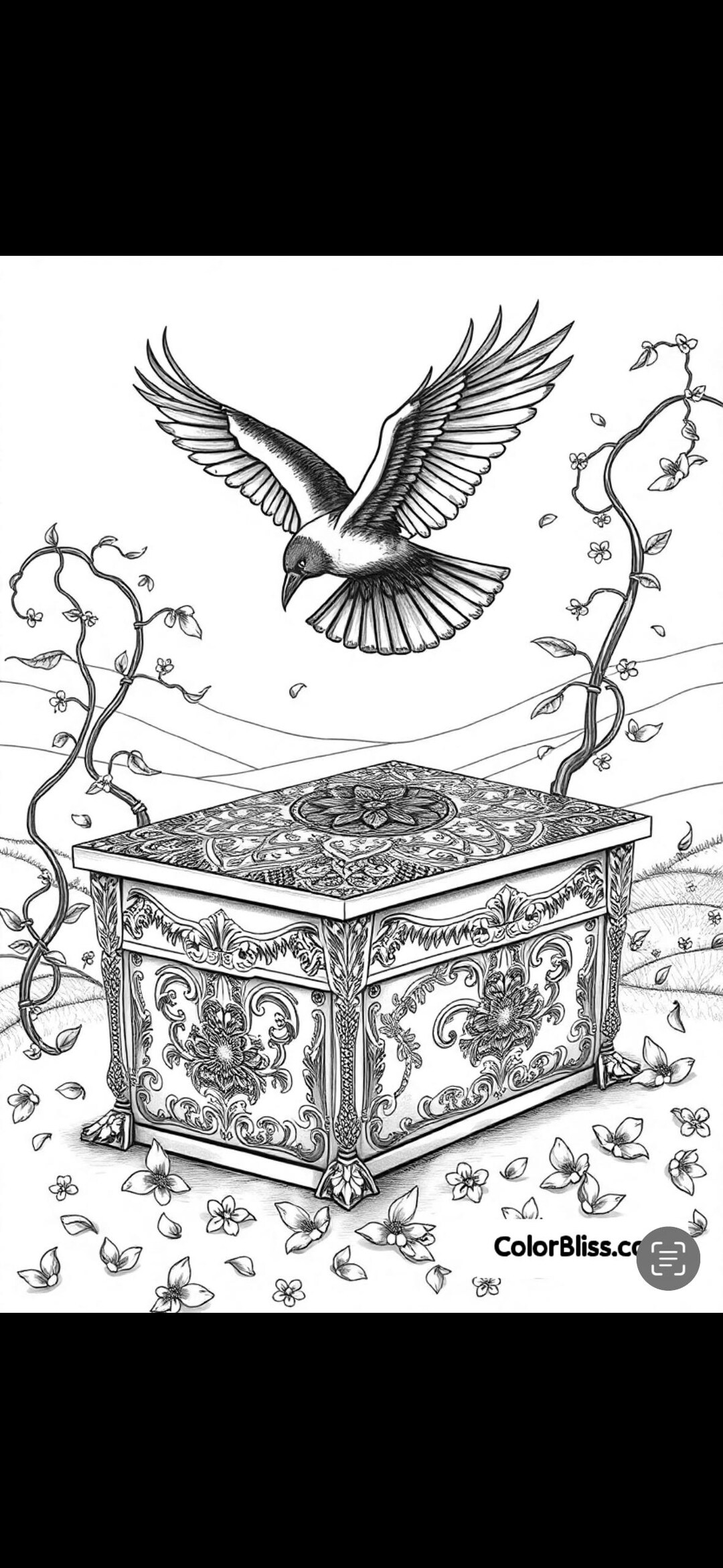 Crow Colouring Page - Etsy