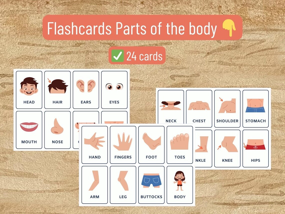 Body Parts Flashcards, Kids Learning, Preschool Flashcards, Printable ...