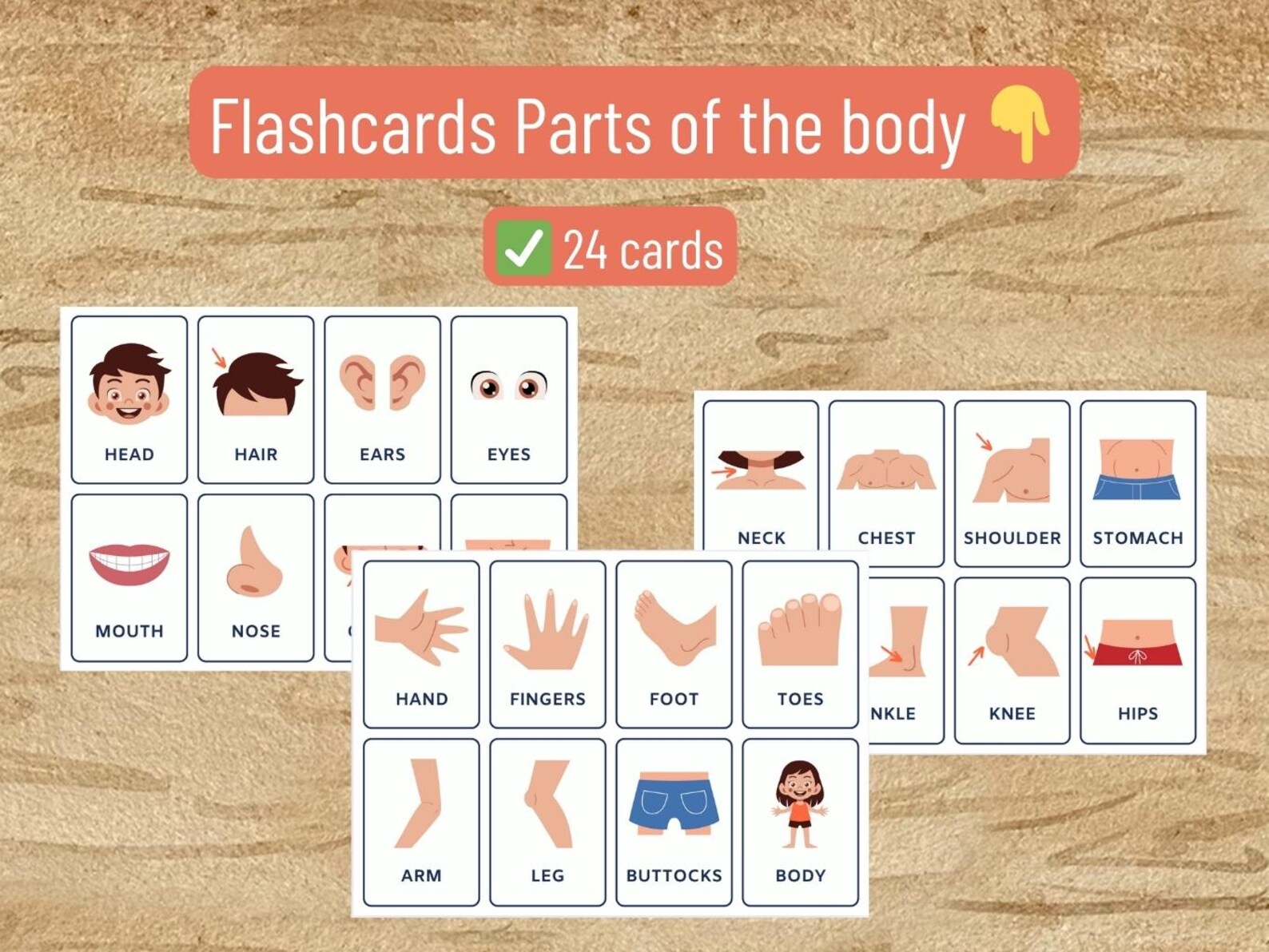 Body Parts Flashcards, Kids Learning, Preschool Flashcards, Printable ...