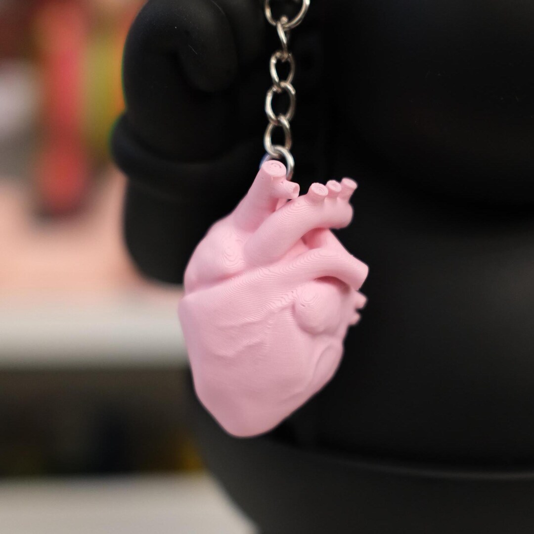 3D Printed Human Heart Keychain - Etsy