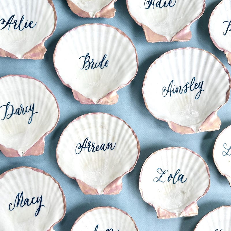 Shell Place Card - Etsy